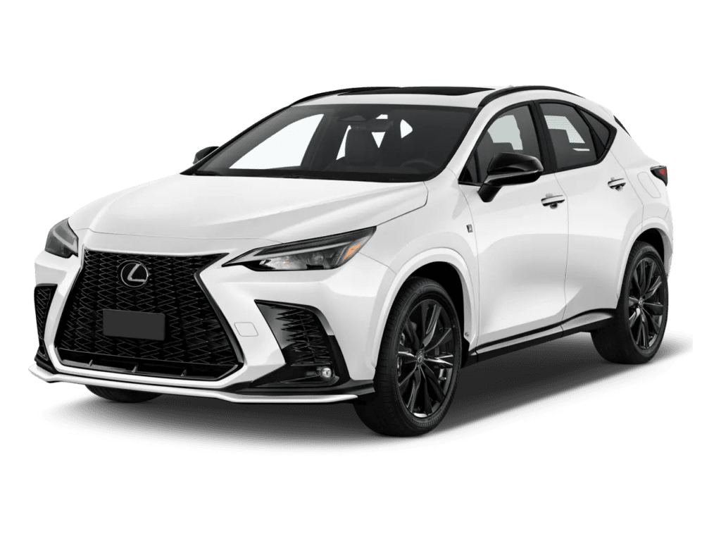 Elm Auto: Good, Bad, Or No Credit - Click, Apply, Drive!